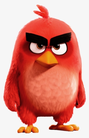 Angry Birds Art Real Life Red - Red Angry Bird Cardinal - 1024x982 PNG ...