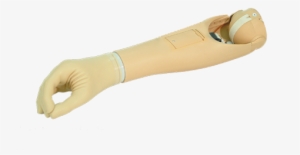 Shoulder Disarticulation Prosthesis Transhumeral Prosthesis ...