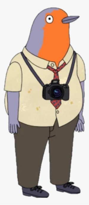 Robin - Wiki - 471x839 PNG Download - PNGkit