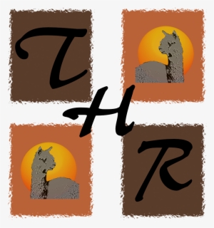 Triple H Ranch - Squirrel - 1082x1082 PNG Download - PNGkit