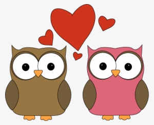 Owl - Love? - 576x472 PNG Download - PNGkit