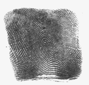 Rolled Fingerprint - Ink Fingerprint - 606x566 PNG Download - PNGkit