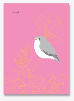 Akikiki Notecard - ʻakikiki - 1000x1000 PNG Download - PNGkit