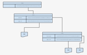 Anatomy Of A Tree Diagram - Part Of A Tree And Their Functions ...