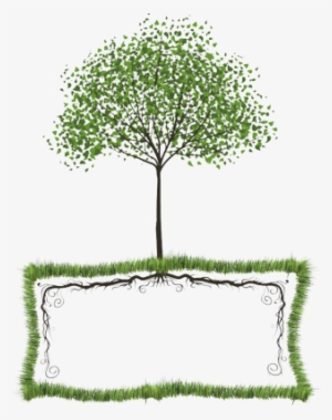Tree Border Psd - Frame Vector - 316x400 PNG Download - PNGkit