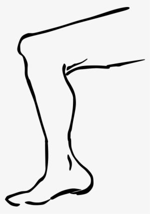 Banner Royalty Free Library Leg Free - Leg Clipart - 294x592 PNG ...