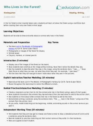 Who Lives In The Forest - Parts Of The Tree Lesson Plan - 557x731 PNG ...