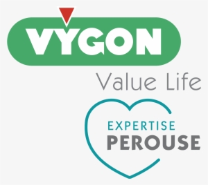 Gold Corner Sponsors - Vygon Logo - 1904x1598 PNG Download - PNGkit