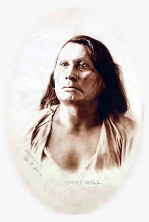 Chief Gall - Chief Gall Or Pizi - 352x524 PNG Download - PNGkit