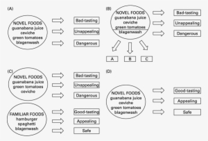 Representation Of A Novel Food Schema, (b) A Food For - Novel Foods ...