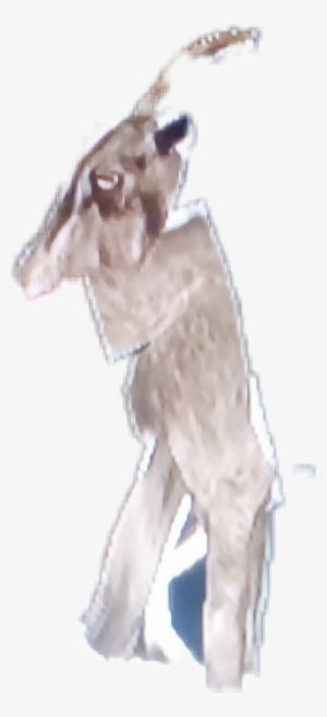 Goats Goatsimulator Freetoedit Scgoats - Sketch - 240x526 PNG Download ...