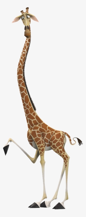 Download - Melman Madagascar - 372x935 PNG Download - PNGkit