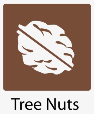 Nut Icon - Tree Nut Icon - 504x615 PNG Download - PNGkit