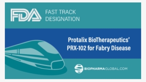 Protalix Biotherapeutics Granted Fda Fast Track Designation ...