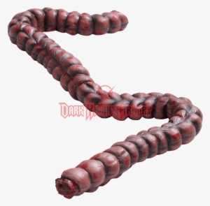 Bloody Zombie Intestines - 856x856 PNG Download - PNGkit