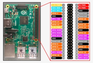 Rpi2pinout - Raspberry Pi 3b Gpio - 804x550 PNG Download - PNGkit