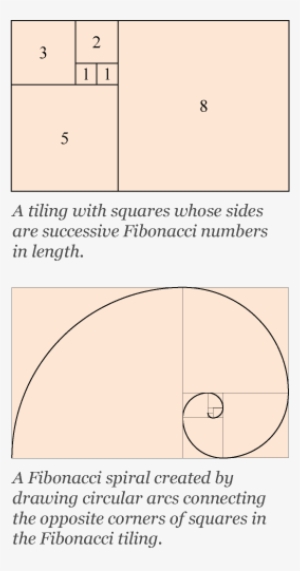 Golden Mean Design - 624x624 PNG Download - PNGkit