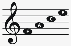 Treble Staff Line Notes - Space Notes In Treble Clef - 820x538 PNG ...