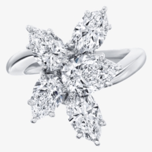 Winston™ Cluster By Harry Winston, Large Diamond Ring - Jewellery ...