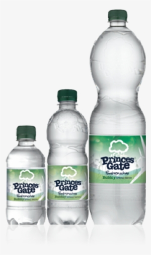 Bubbly Spring Water - Plastic Bottle - 450x350 PNG Download - PNGkit