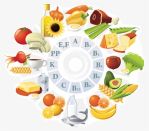 Vitamin Wheel200 - Vitamins, Their Role In Human Life - 516x454 PNG ...