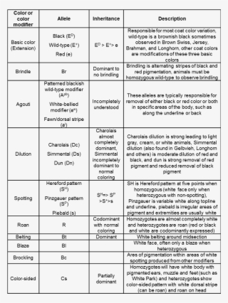 Description Of Known Coat Color Patterns In Cattle - Cattle - 822x1110 ...