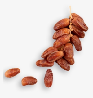 Apis - Application Programming Interface - 500x800 PNG Download - PNGkit