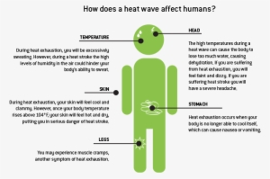 How A Heat Wave Affects Humans - Heat Affects The Body - 680x478 PNG ...
