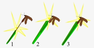 Moth And Orchid Coevolution - 593x325 PNG Download - PNGkit