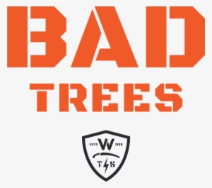 Wts Bad Trees - Wildwood Tree Service - 549x485 PNG Download - PNGkit