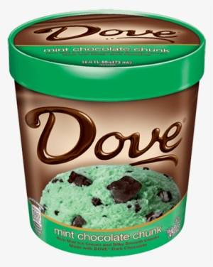 Dove® Mint Chocolate Chunk - Dove Milk Chocolate Ice Cream - 668x639 ...