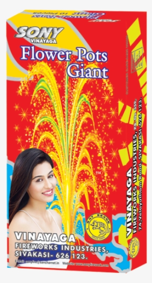 Flower Pots Giant - Sony Crackers - 490x490 PNG Download - PNGkit