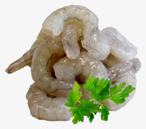 White Tiger Prawn Meat Broken 800gm Iqf - Pietruszka - 500x459 PNG ...