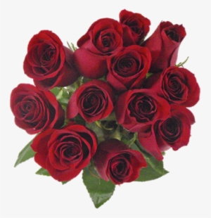 Mejor Rosa Del Mundo - 348x360 PNG Download - PNGkit