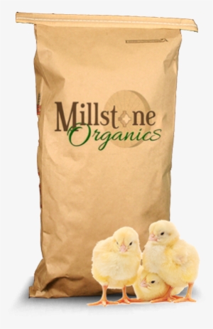 Organic Chick Starter - Poultry Feed - 344x500 PNG Download - PNGkit