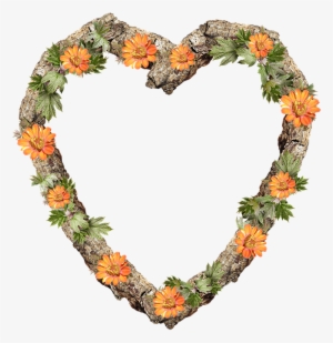 Frame, Border, Heart, Floral, Decoration - Transparent Rustic Heart ...
