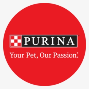 Purina® - Dog Chow - 348x348 PNG Download - PNGkit