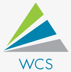Wcs Wholesale Carrier Services Logo - Wholesale Carrier Services ...