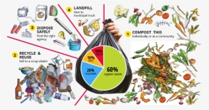Know What You Throw - Organic Waste Examples - 989x551 PNG Download ...