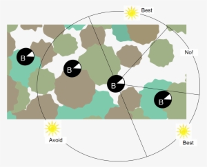 Measurement Direction With Direct Sun - Circle - 1431x1172 PNG Download ...