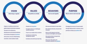 Vision, Values, Behaviors, Purpose - Values Of A Company - 781x394 PNG ...