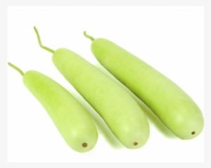 Bottle Gourd - Bottle Gourd Png - 500x500 PNG Download - PNGkit