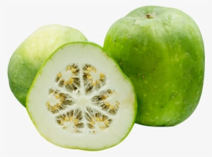 Ash Gourd - Winter Melon In Tagalog - 660x450 PNG Download - PNGkit