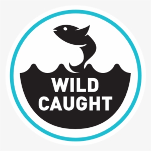 Our Wild-caught Seafood Badge - Wild Caught Fish Logo - 484x477 PNG ...
