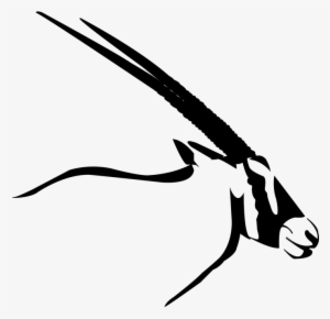 Oryx Clipart African Animal - Oryx Png - 891x720 PNG Download - PNGkit