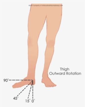 Thigh Rotation 6 - Lateral Rotation Of Foot - 432x543 PNG Download - PNGkit