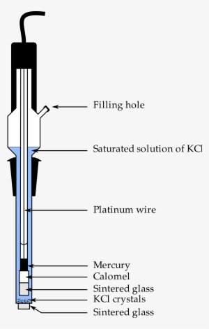 Saturated Calomel Electrode - Saturated Calomel Electrode Diagram ...