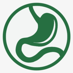Stomach-icon - Digestion - 375x375 PNG Download - PNGkit