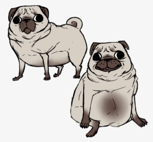 28 Collection Of Fat Pug Drawing - Pug - 626x575 PNG Download - PNGkit