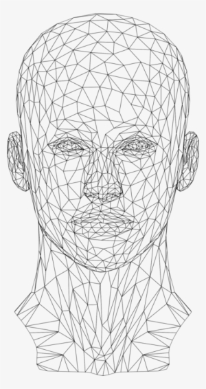 Wire-frame Model Website Wireframe Electrical Wires - Low Poly Face ...